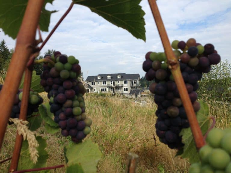 Welcome to Brookside Inn - New Website in September | Brookside Inn ...
